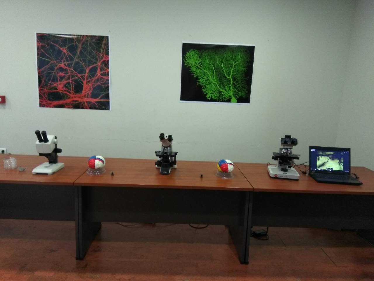 Outreach - Neurophysiology and Behavior Lab